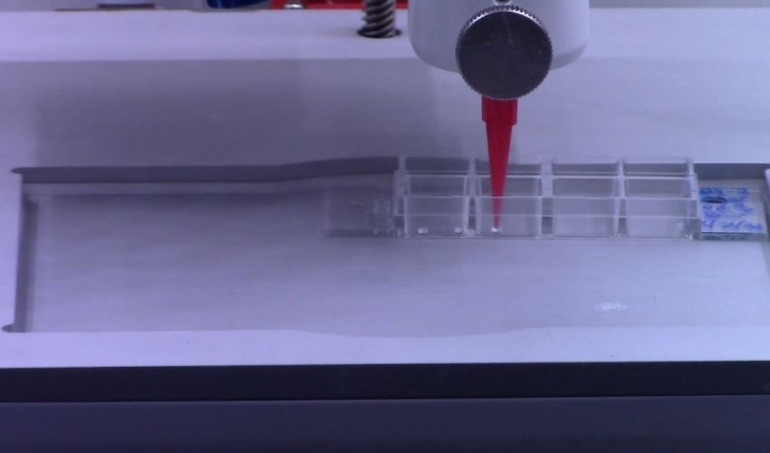 Plant-cells-cover-image-canva